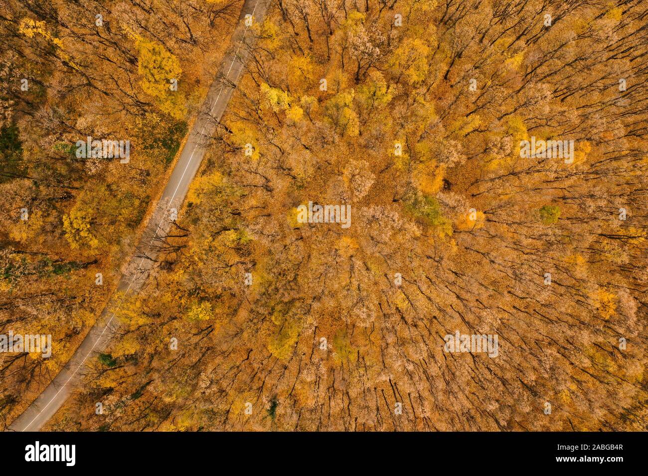 Aerial view autumn forest hi-res stock photography and images - Alamy