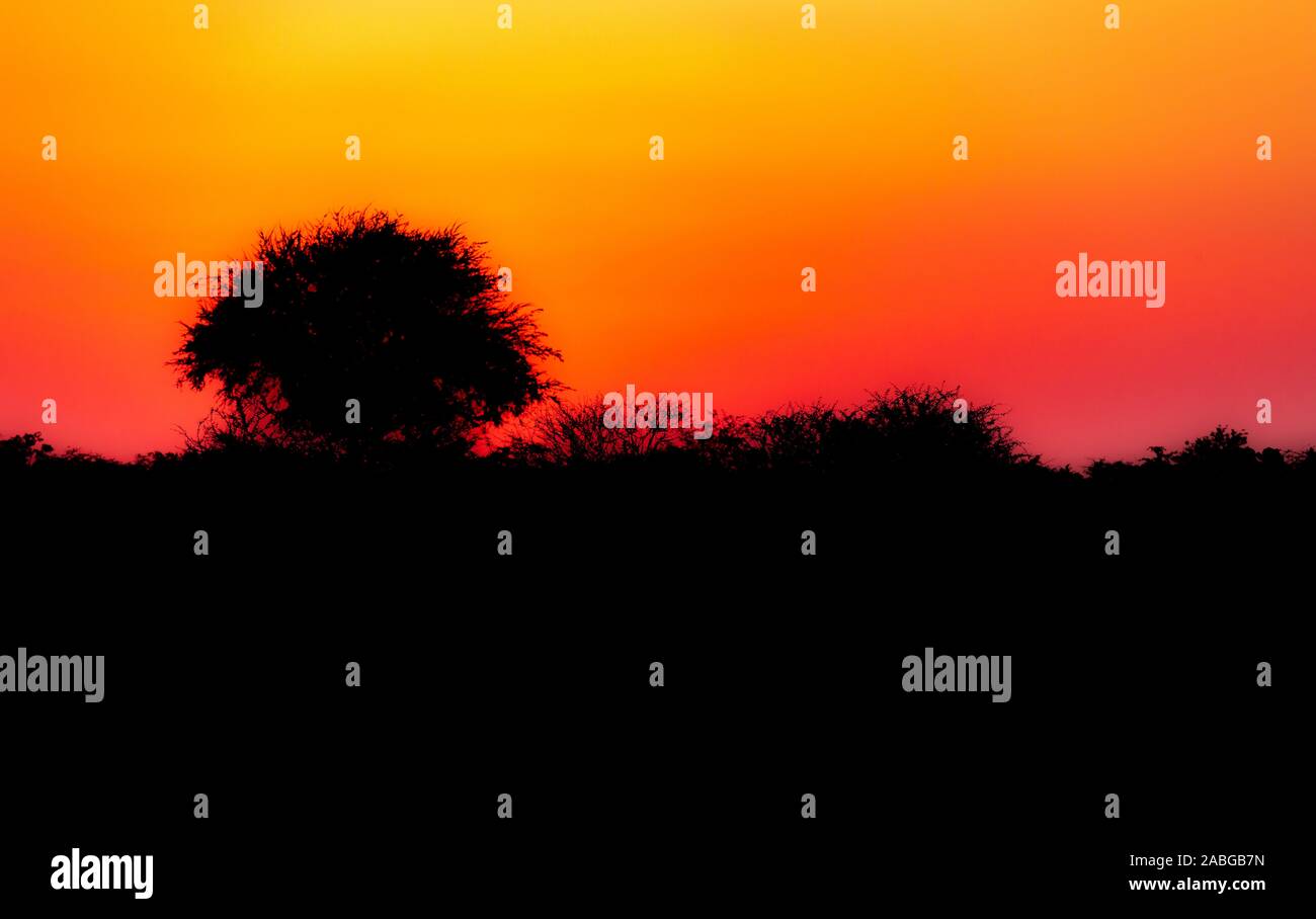Sunset in Namibia, Africa Stock Photo - Alamy