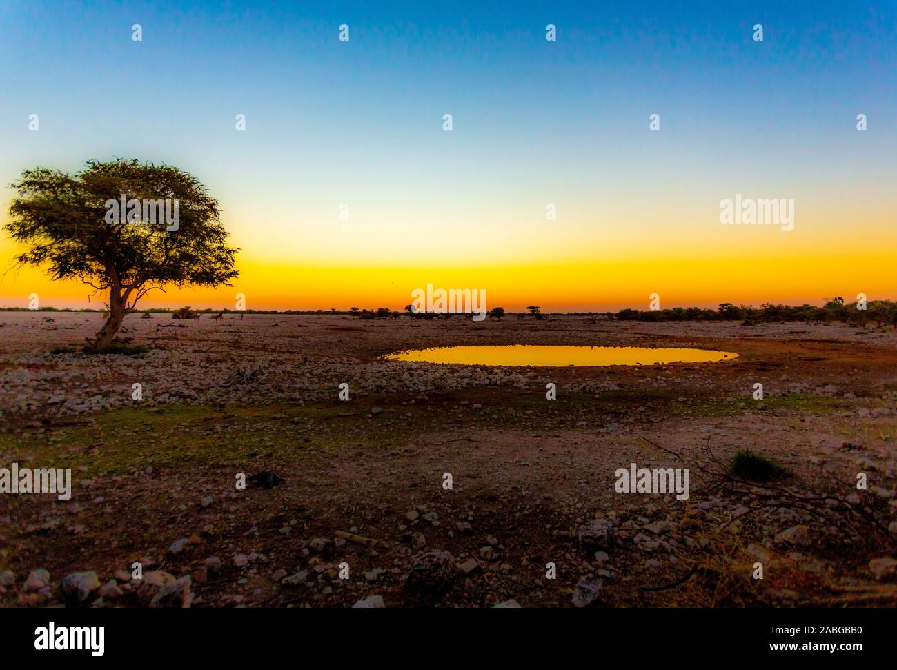Sunset in Namibia, Africa Stock Photo - Alamy