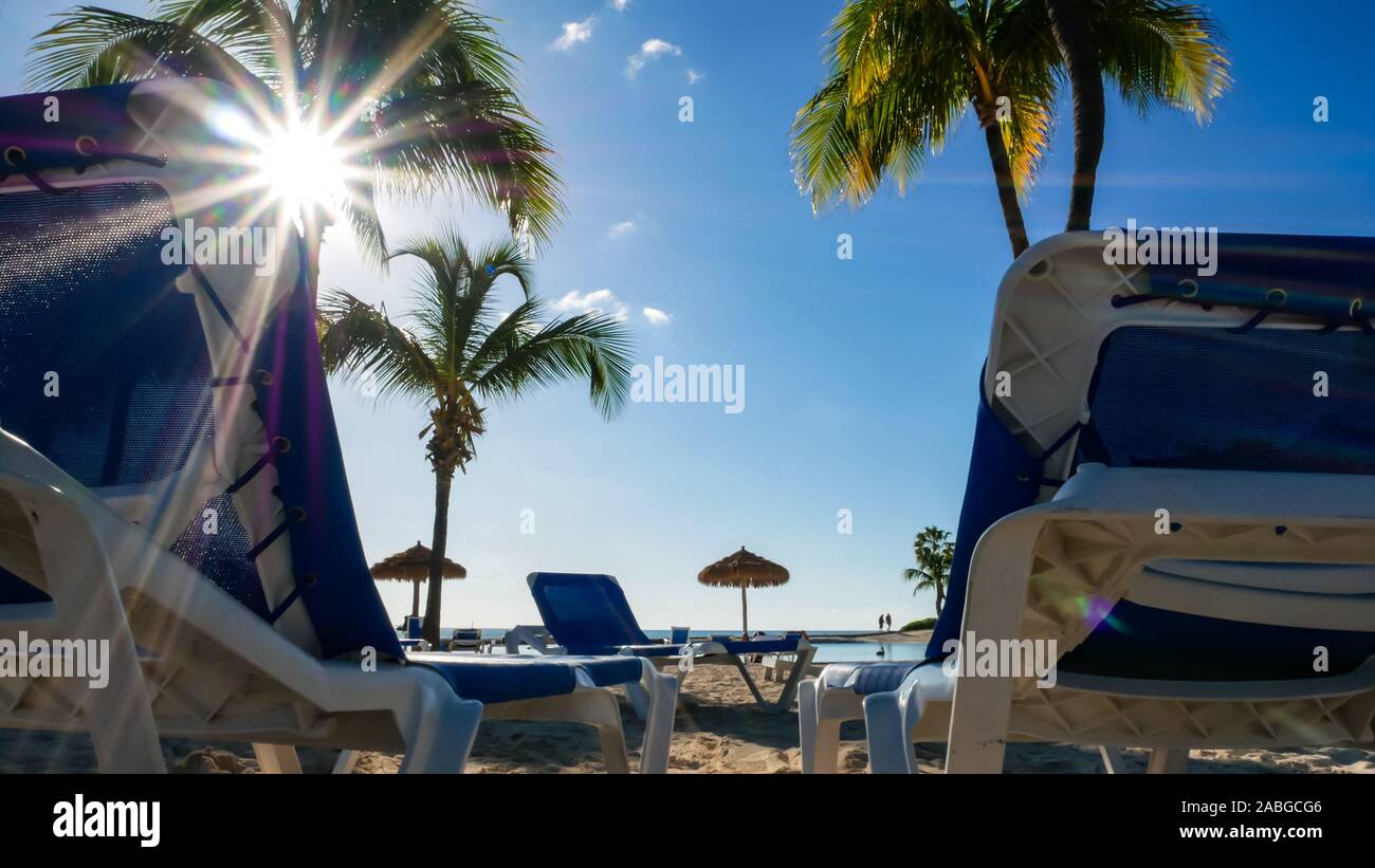 Beautiful topical beach scene. Fall of the sun between palm trees ...