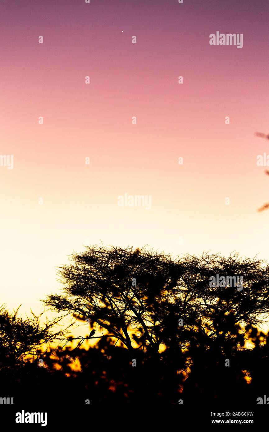 Sunset in Namibia, Africa Stock Photo - Alamy