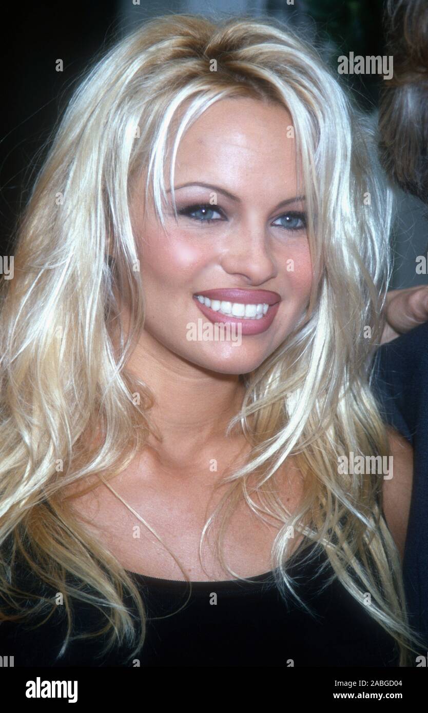 Pam Anderson, 1994, Photo By Michael Ferguson/PHOTOlink / MediaPunch ...