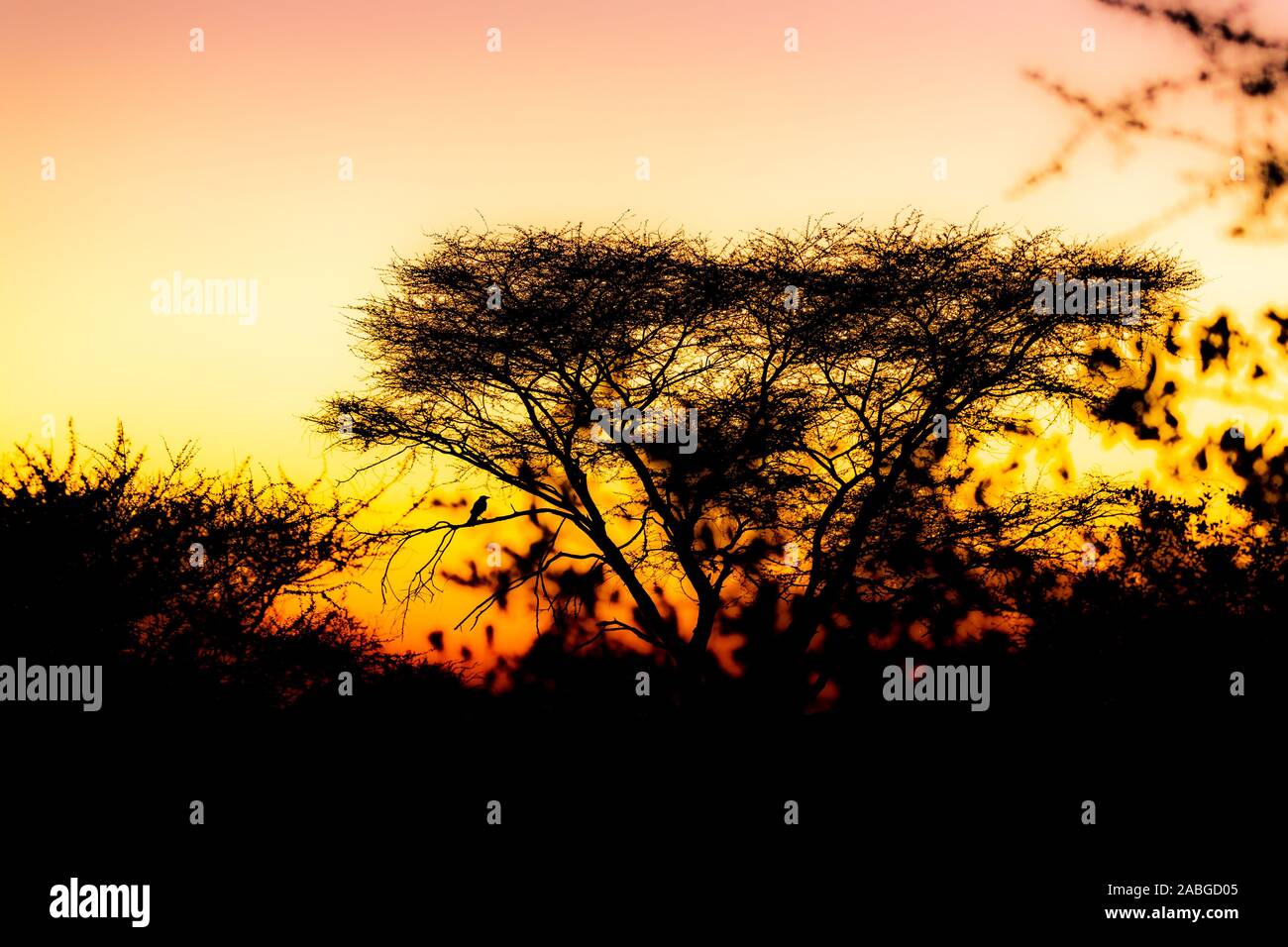 Sunset in Namibia, Africa Stock Photo - Alamy