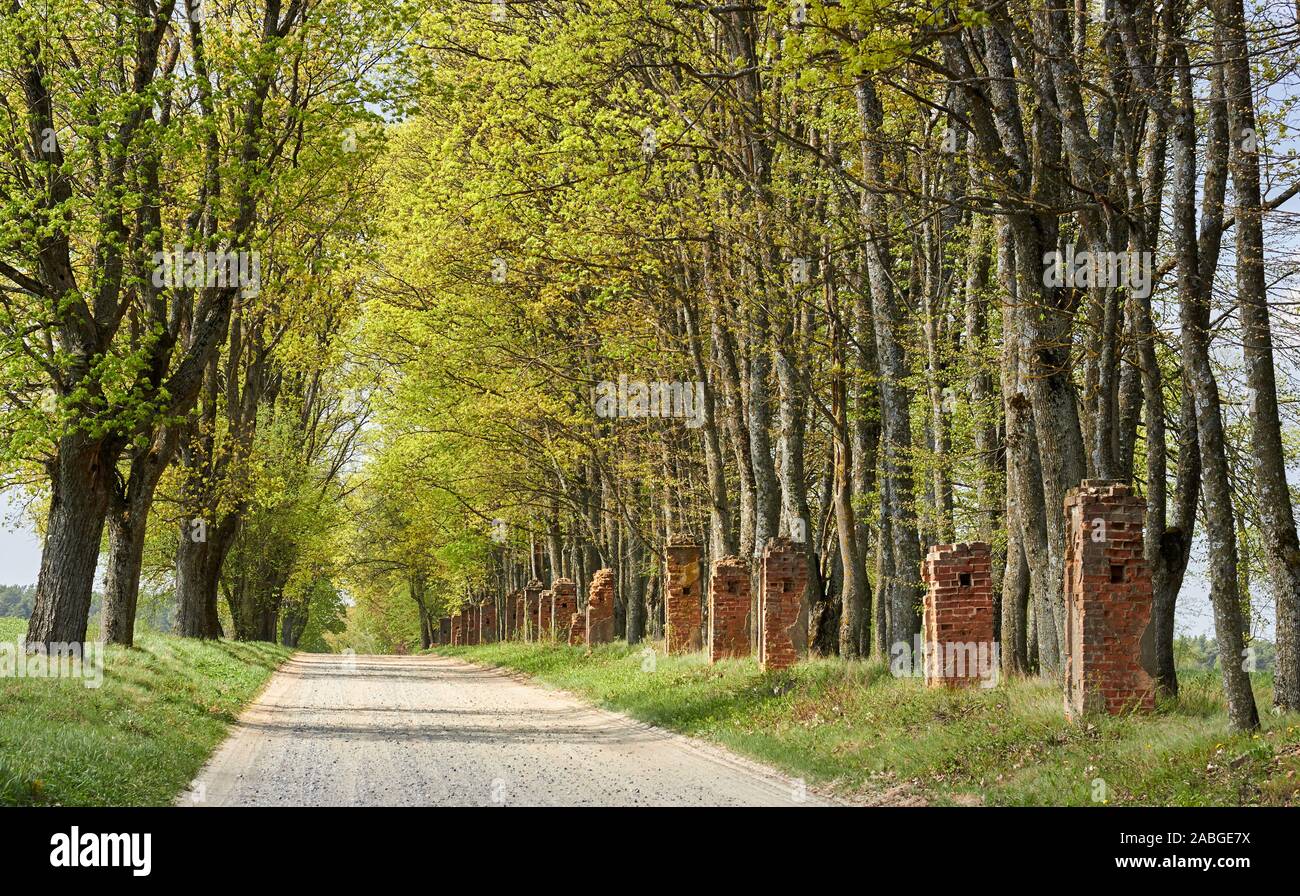 Rural highway, gravel country tree lined road with old blasted brick ...