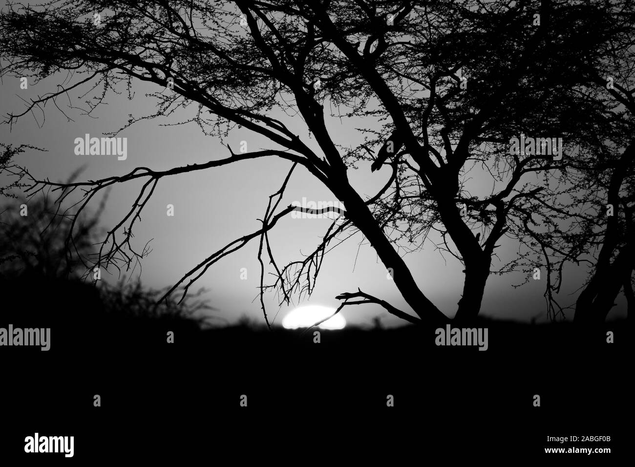 Sunset in Namibia, Africa Stock Photo - Alamy