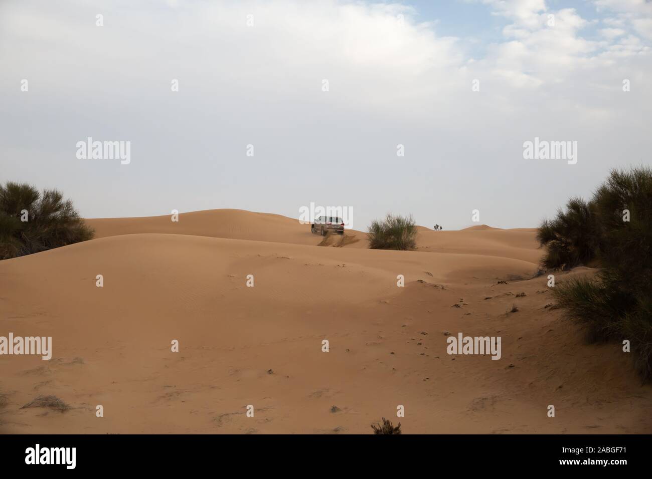 The Sahara Desert, Dubai, UAE Stock Photo - Alamy