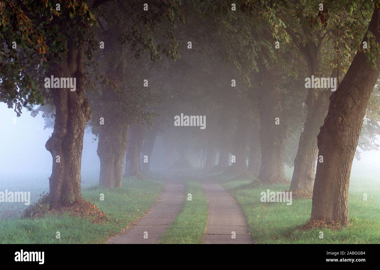 Langendorf hi-res stock photography and images - Alamy