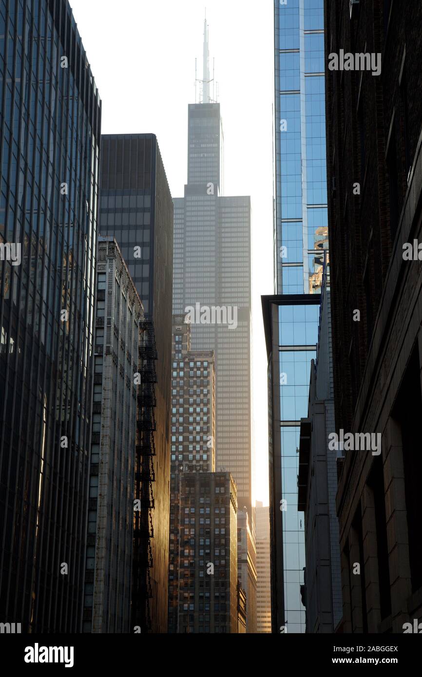 Skyscrapers Steet at Sunset, Chicago Downtown Stock Photo - Alamy
