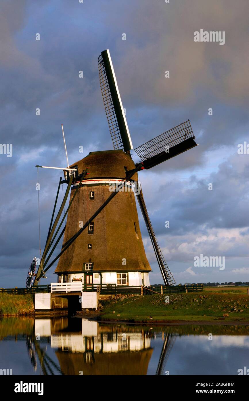 Windmuehle, Reetgedeckt, Texel, Niederlande Stock Photo - Alamy