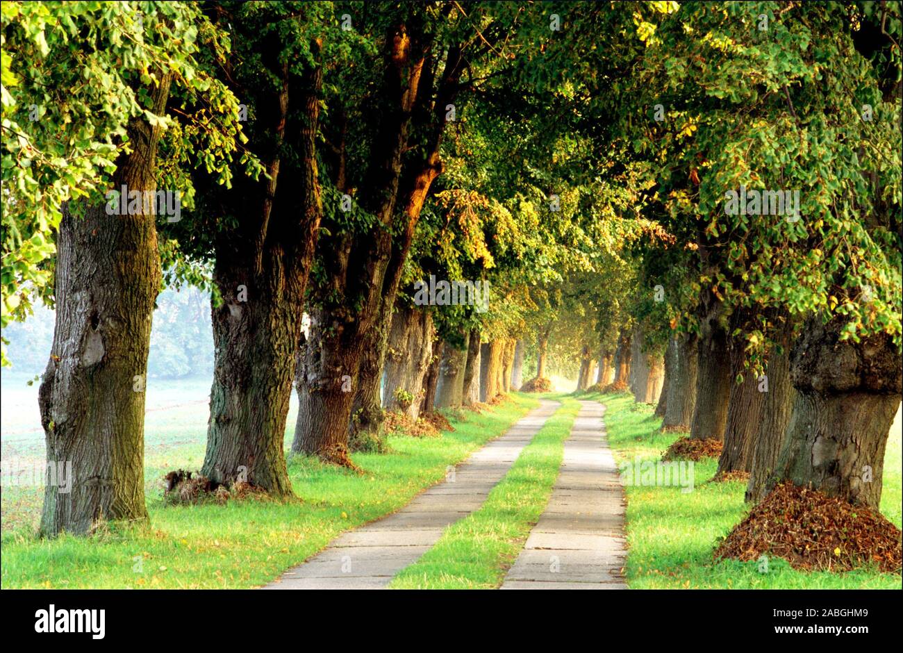 Langendorf hi-res stock photography and images - Alamy