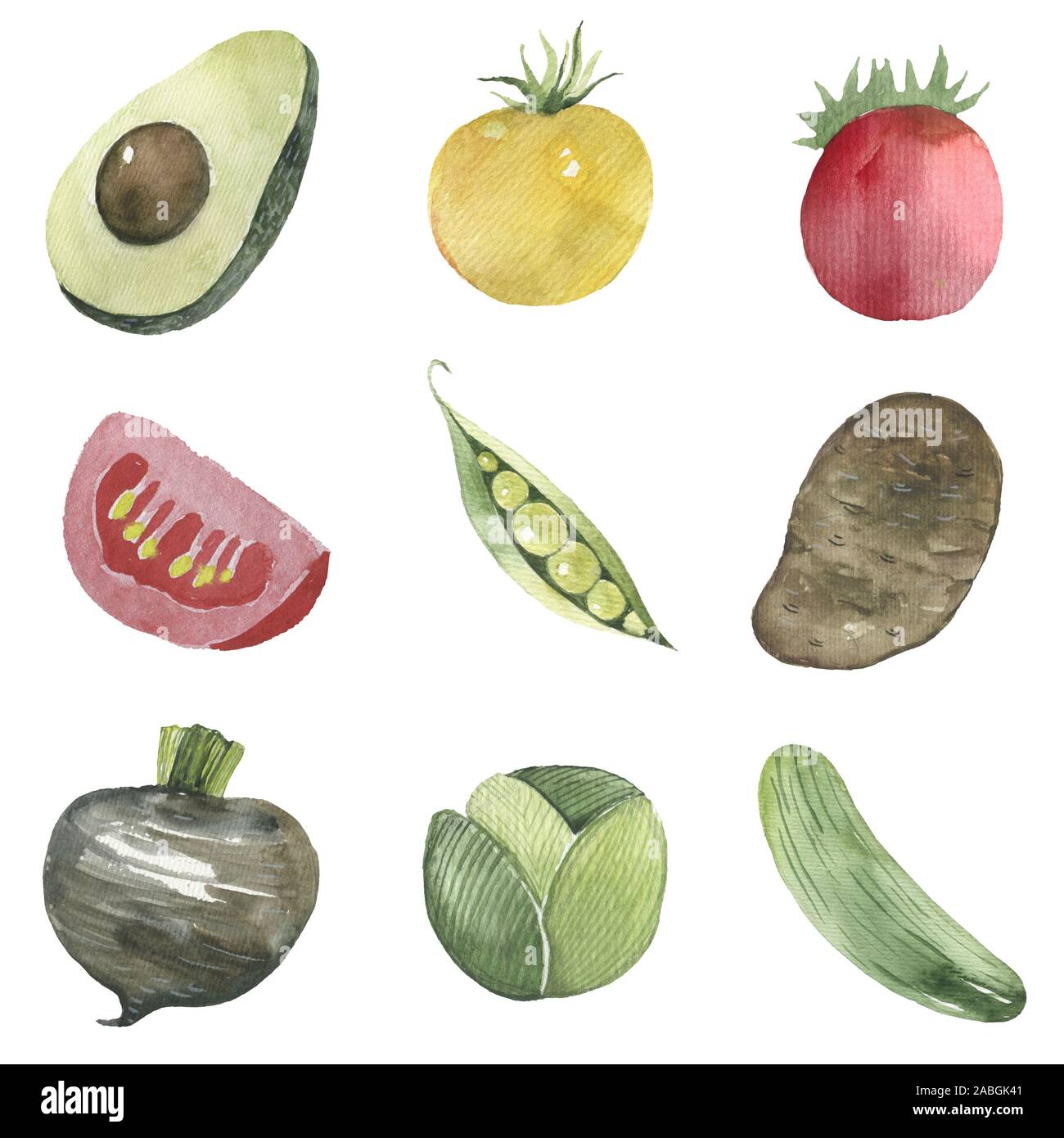 vegetable icon set. watercolor fresh vegetables on a white background ...