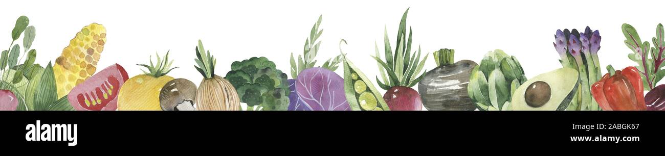 border design of fresh vegetables, isolated on white Stock Photo - Alamy