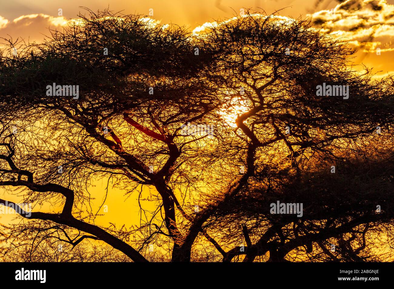 Sunset in Namibia, Africa Stock Photo - Alamy
