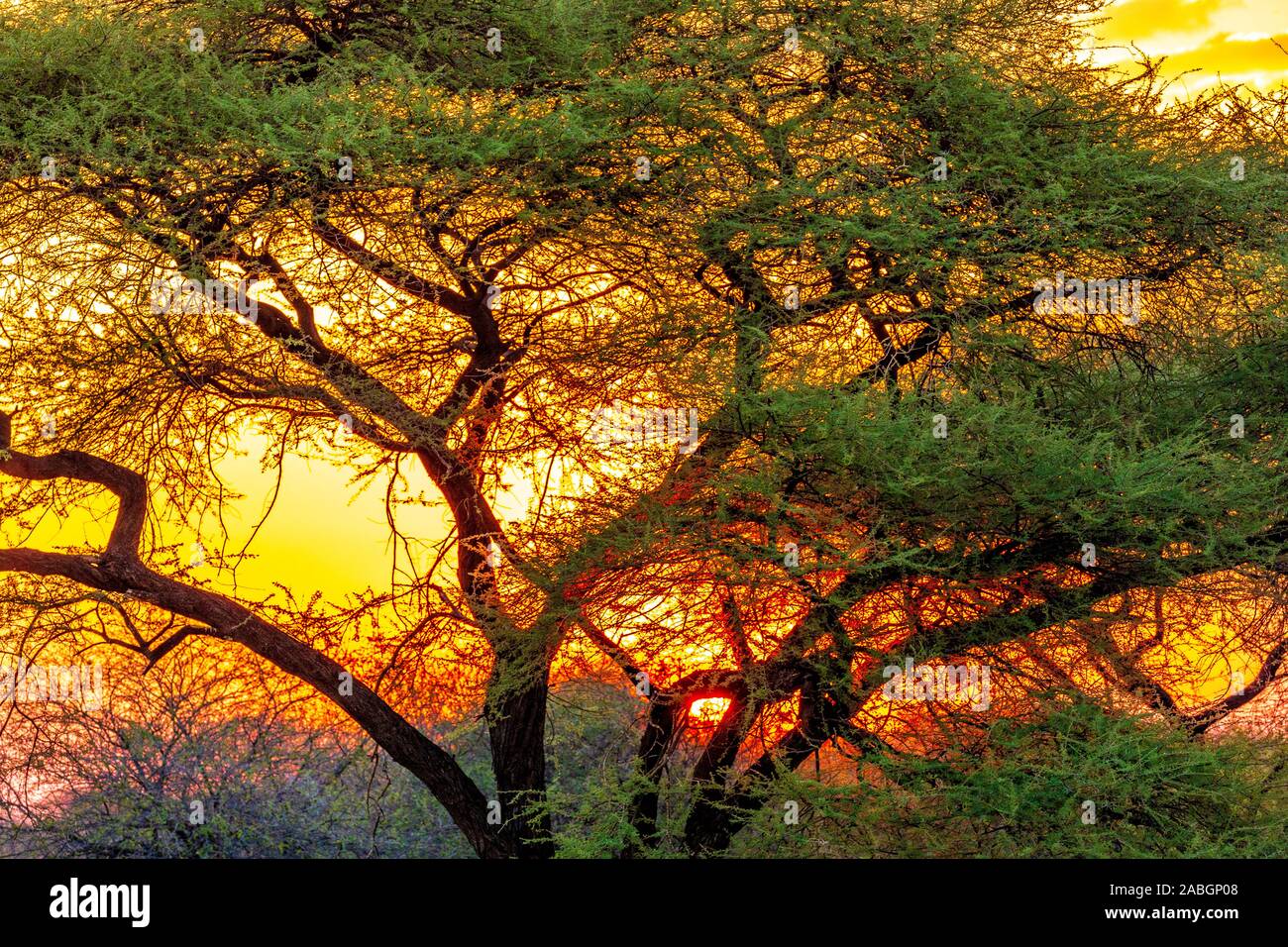 Sunset in Namibia, Africa Stock Photo - Alamy