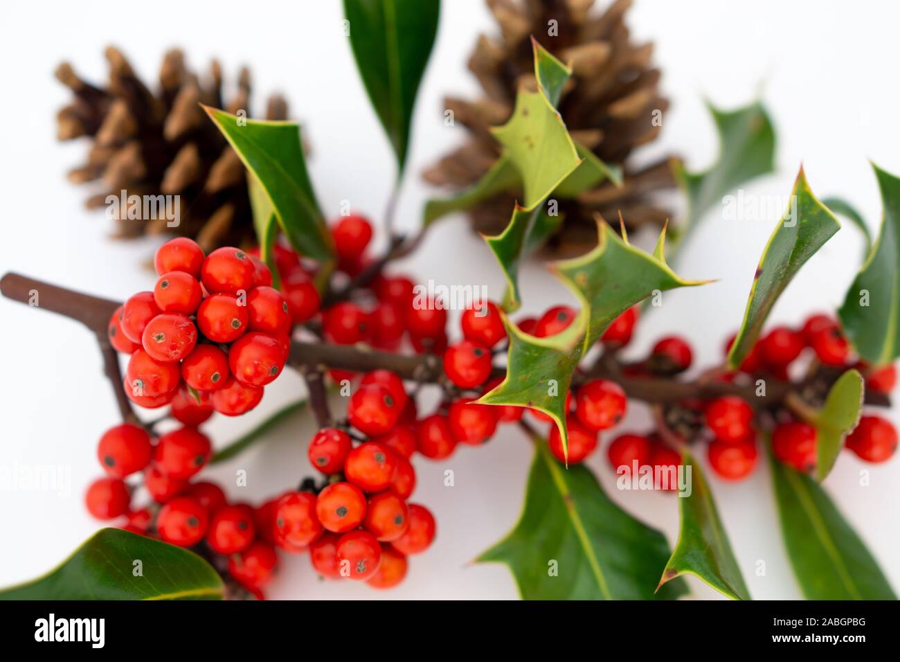 Pine fir cones holly berries hi-res stock photography and images - Alamy