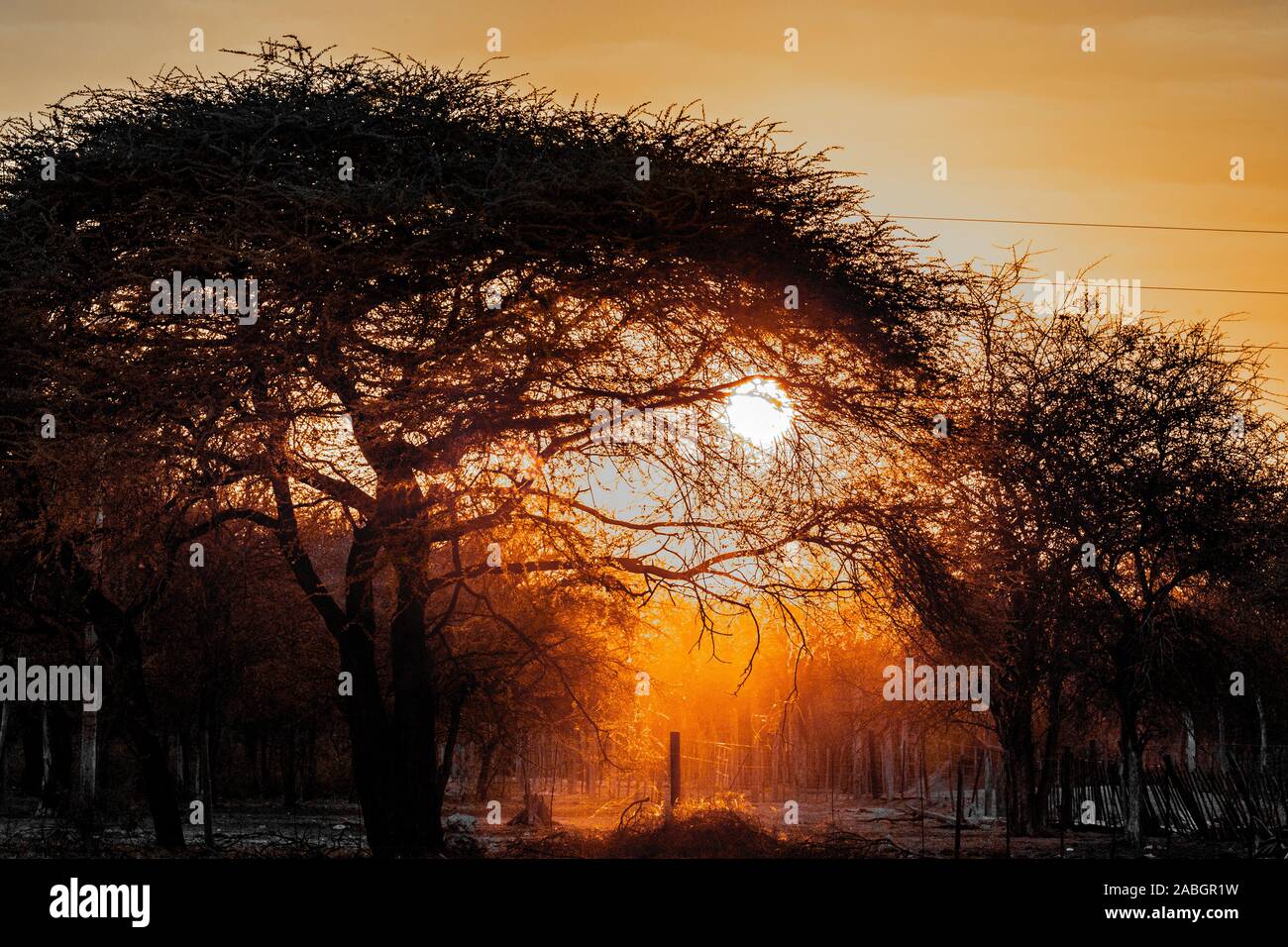 Sunset in Namibia, Africa Stock Photo - Alamy