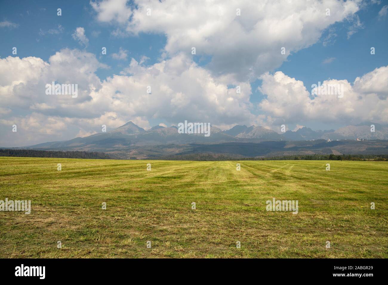Beautiful tranquil rural scene of landscape stubble green field ...
