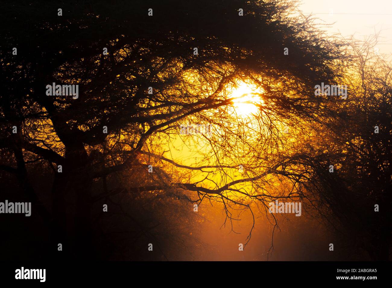Sunset in Namibia, Africa Stock Photo - Alamy