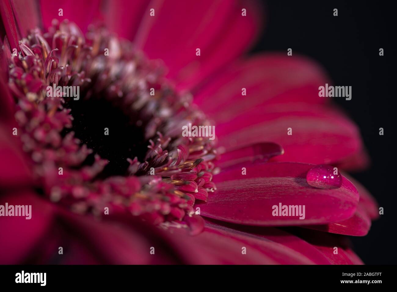 Single drop of water hi-res stock photography and images - Alamy