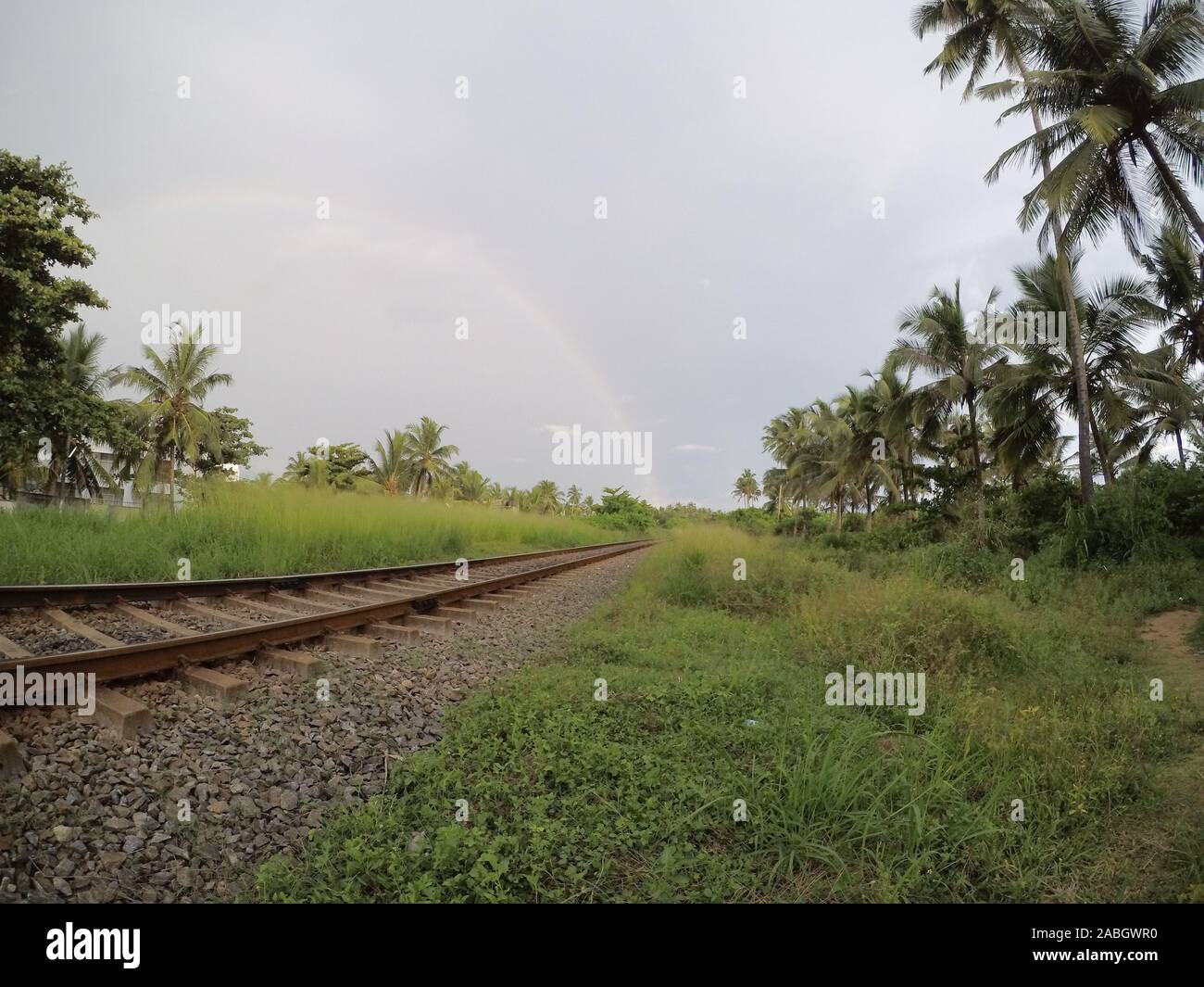 Railway track passing through the jungle in Sri Lanka Stock Photo - Alamy