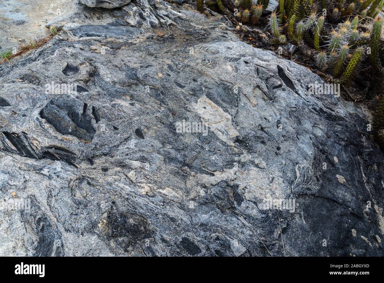 Precambrian gneiss outcrop near Quixada, Ceara, NE Brazil, South ...