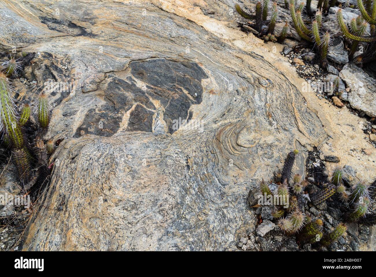 Metamorphic rock gneiss hi-res stock photography and images - Alamy