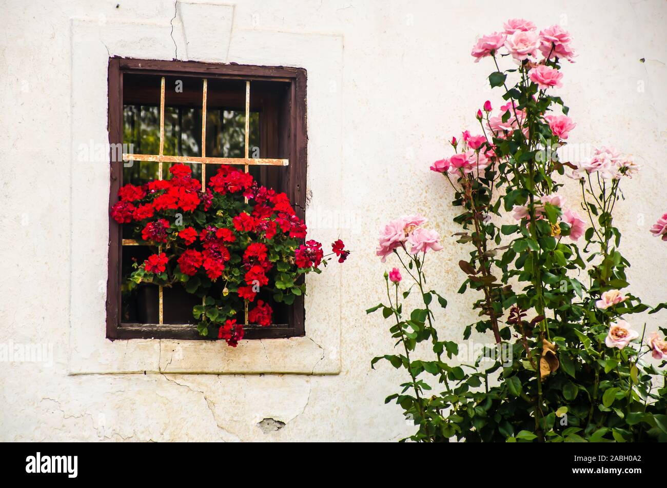 Cream windows hi-res stock photography and images - Alamy