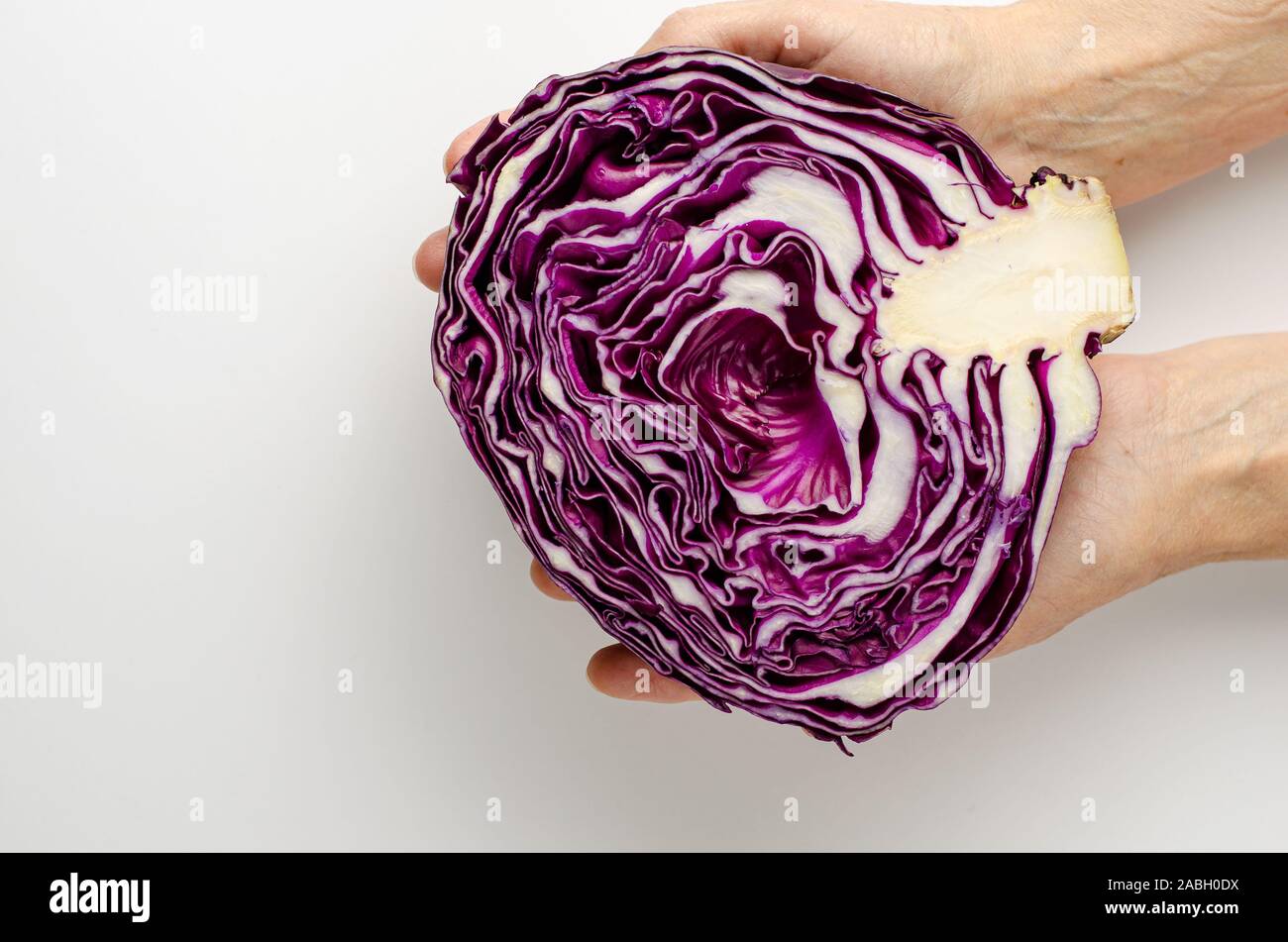 Cabbage hands holding cabbage hi-res stock photography and images - Alamy