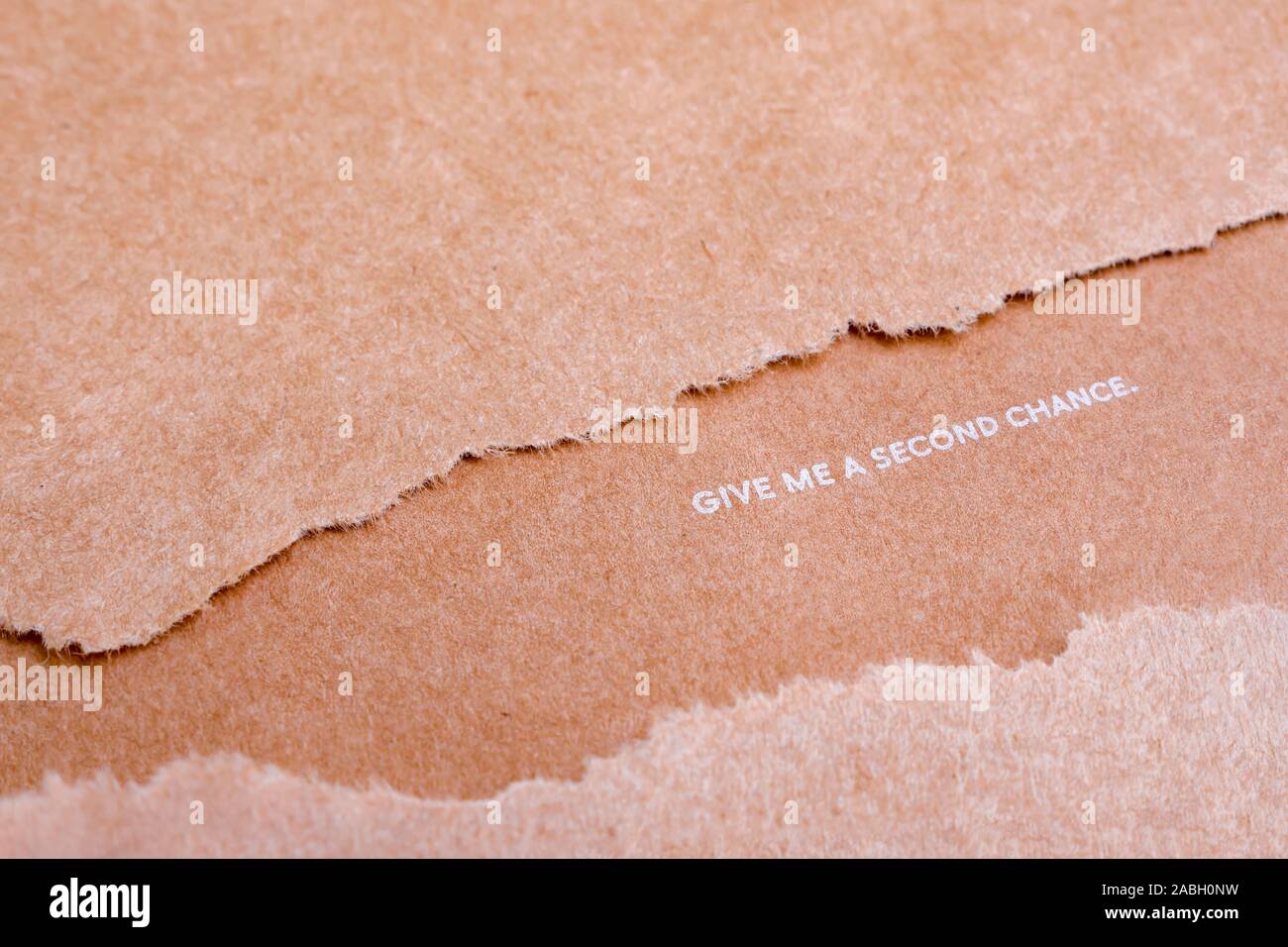 Reusing paper-based products. Ecological problems. Reusing concept ...