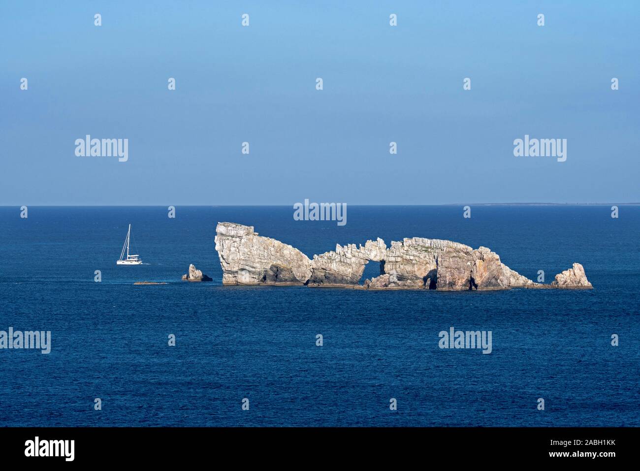 Sea lion boat hi-res stock photography and images - Alamy