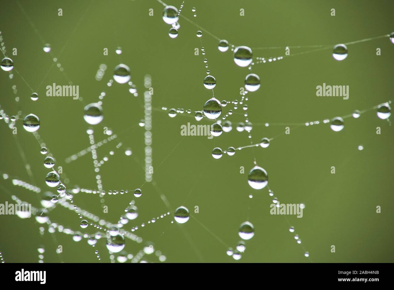 Spider web of wires hi-res stock photography and images - Alamy