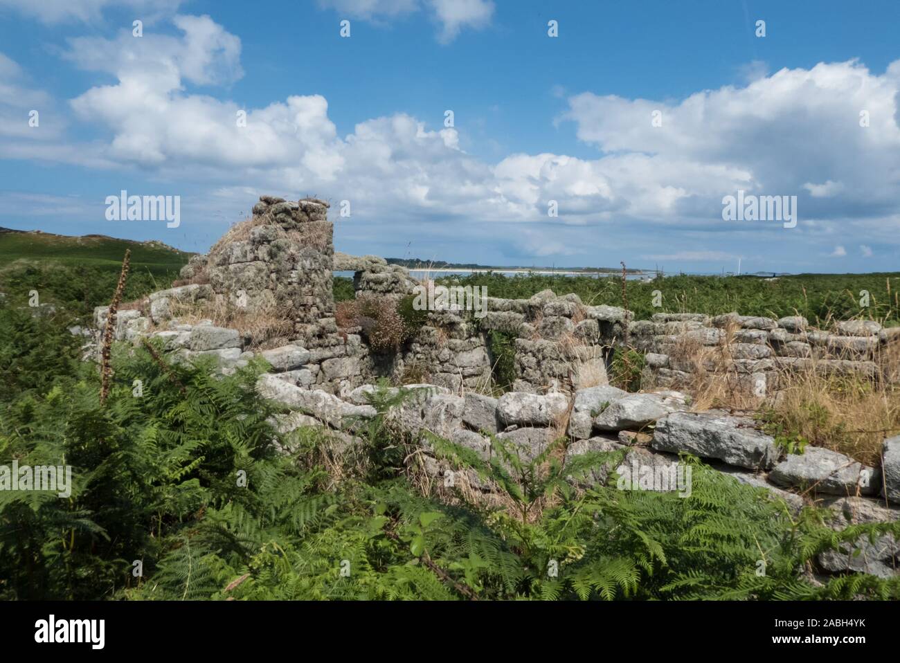 The sad ruins of Woodcock's cottage, abandoned in 1855, on the since ...