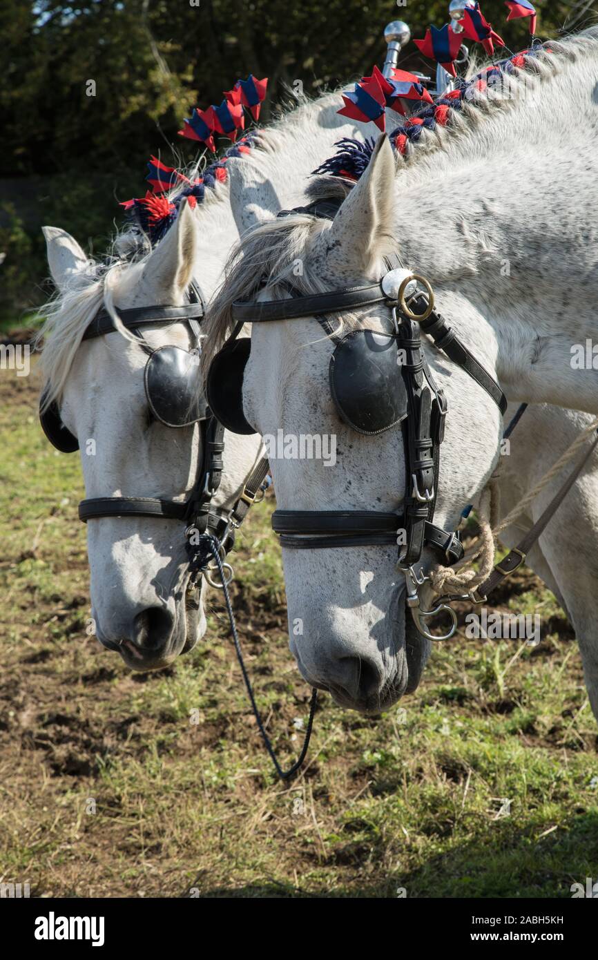 Old threshing machine hi-res stock photography and images - Alamy