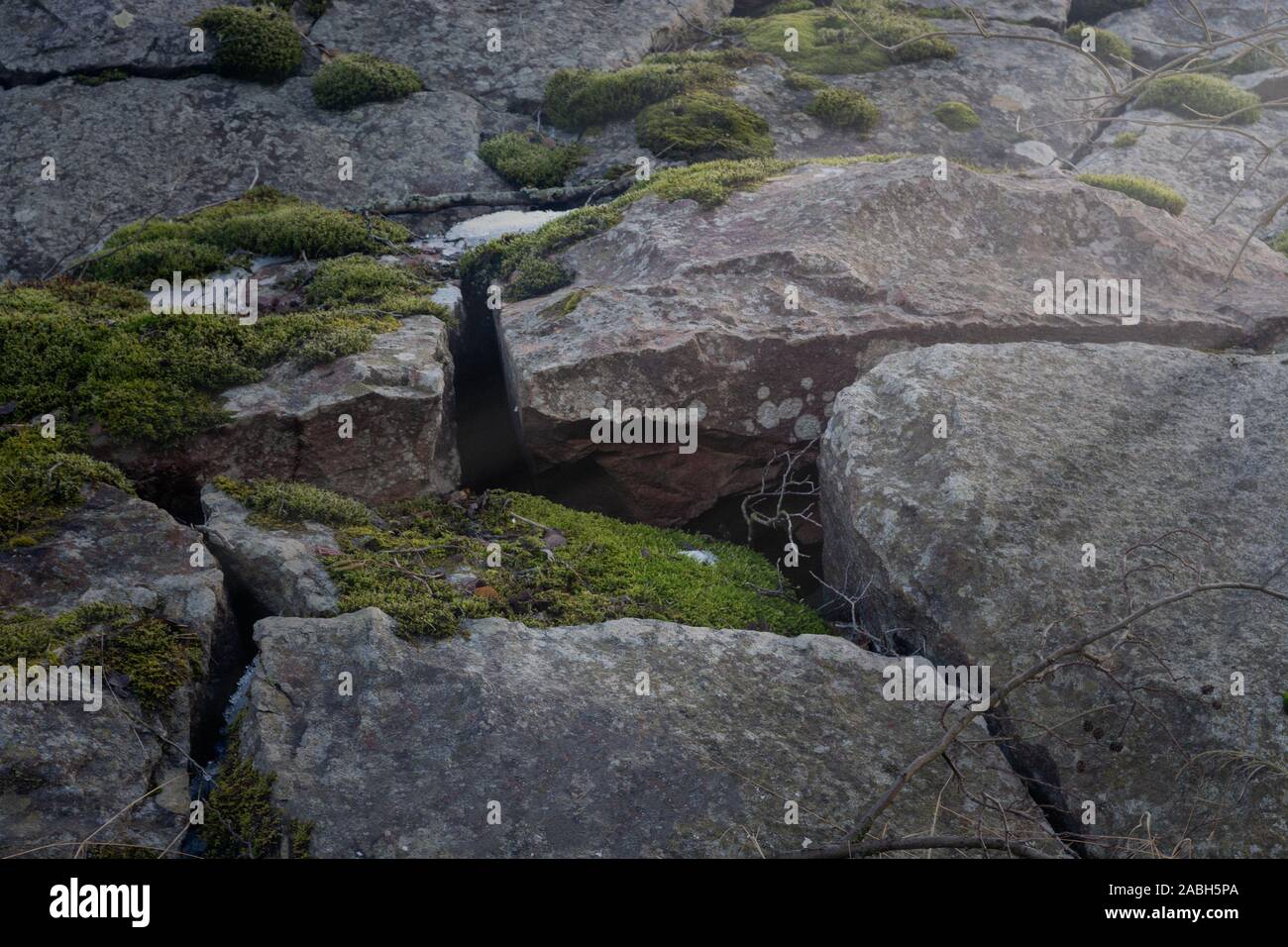 large stones covered with MOSS in the sunshine Stock Photo - Alamy