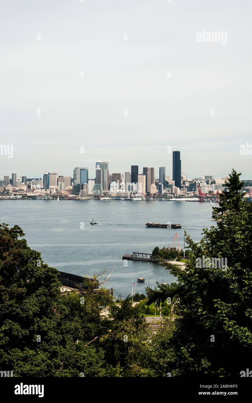Framed by foliage, a view of the Seattle Skyline across Puget Sound ...