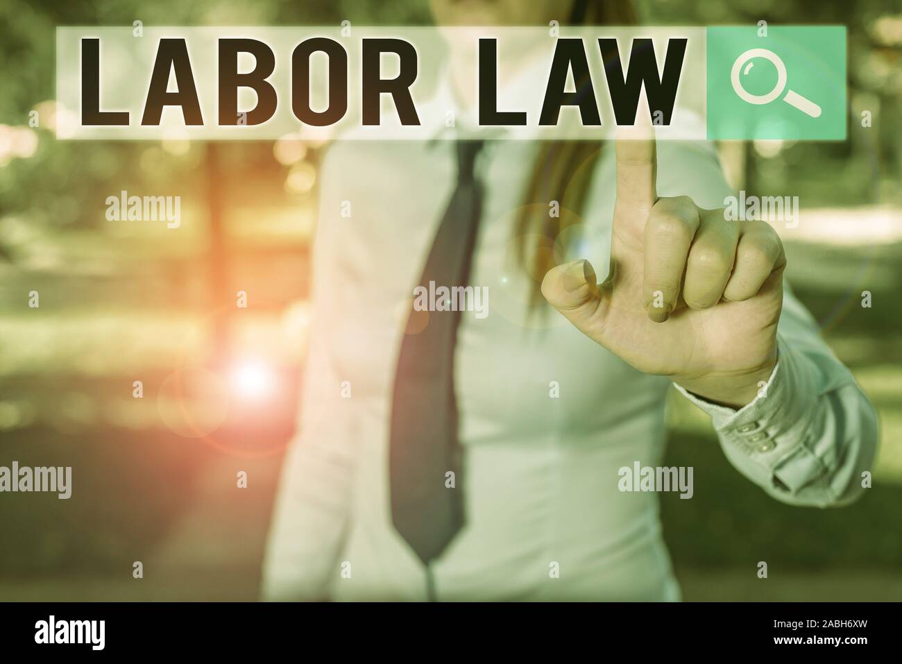Writing note showing Labor Law. Business concept for rules relating to ...