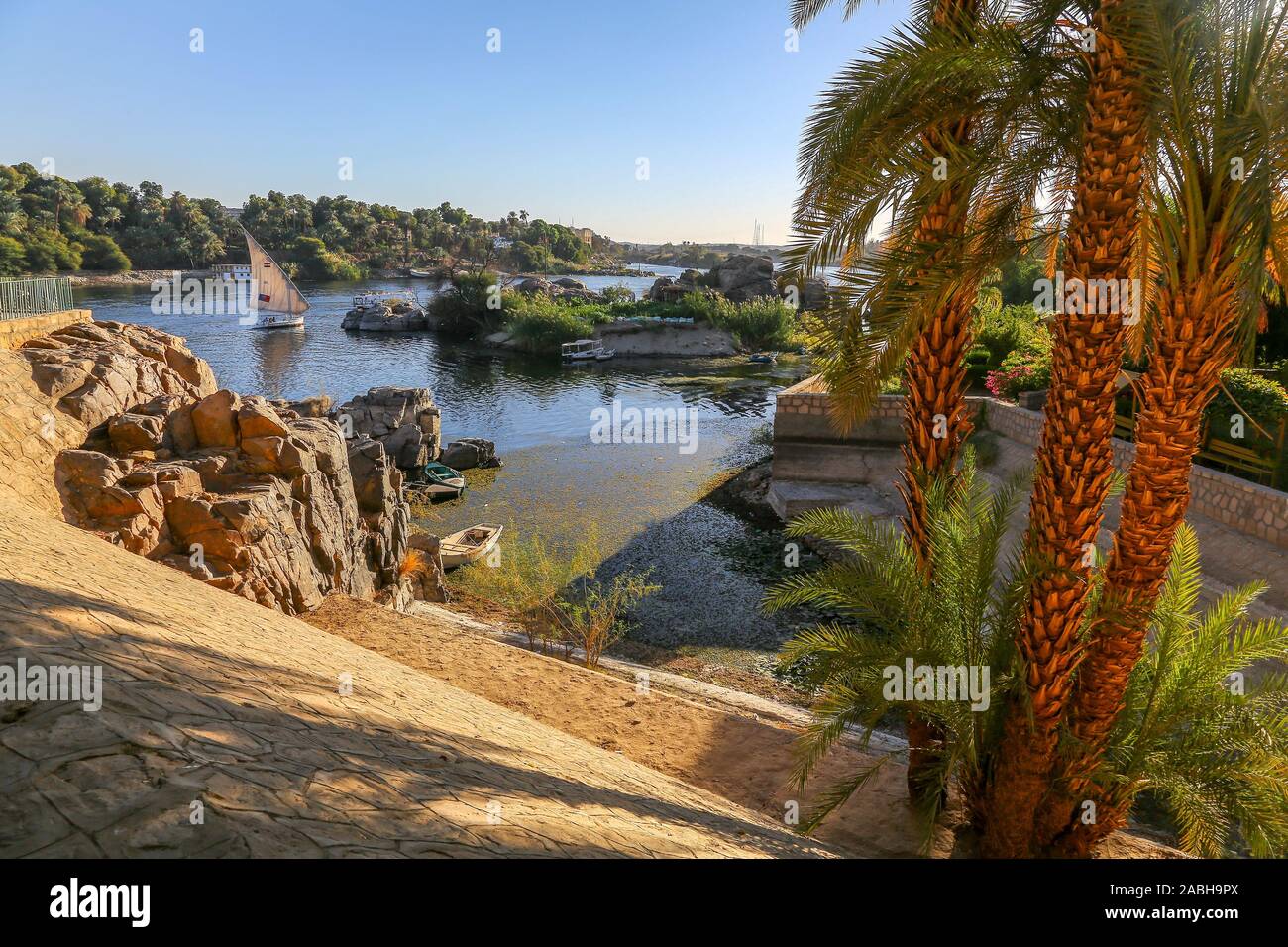 Aswan Botanical gardens, Aswan, Egypt, Africa Stock Photo - Alamy