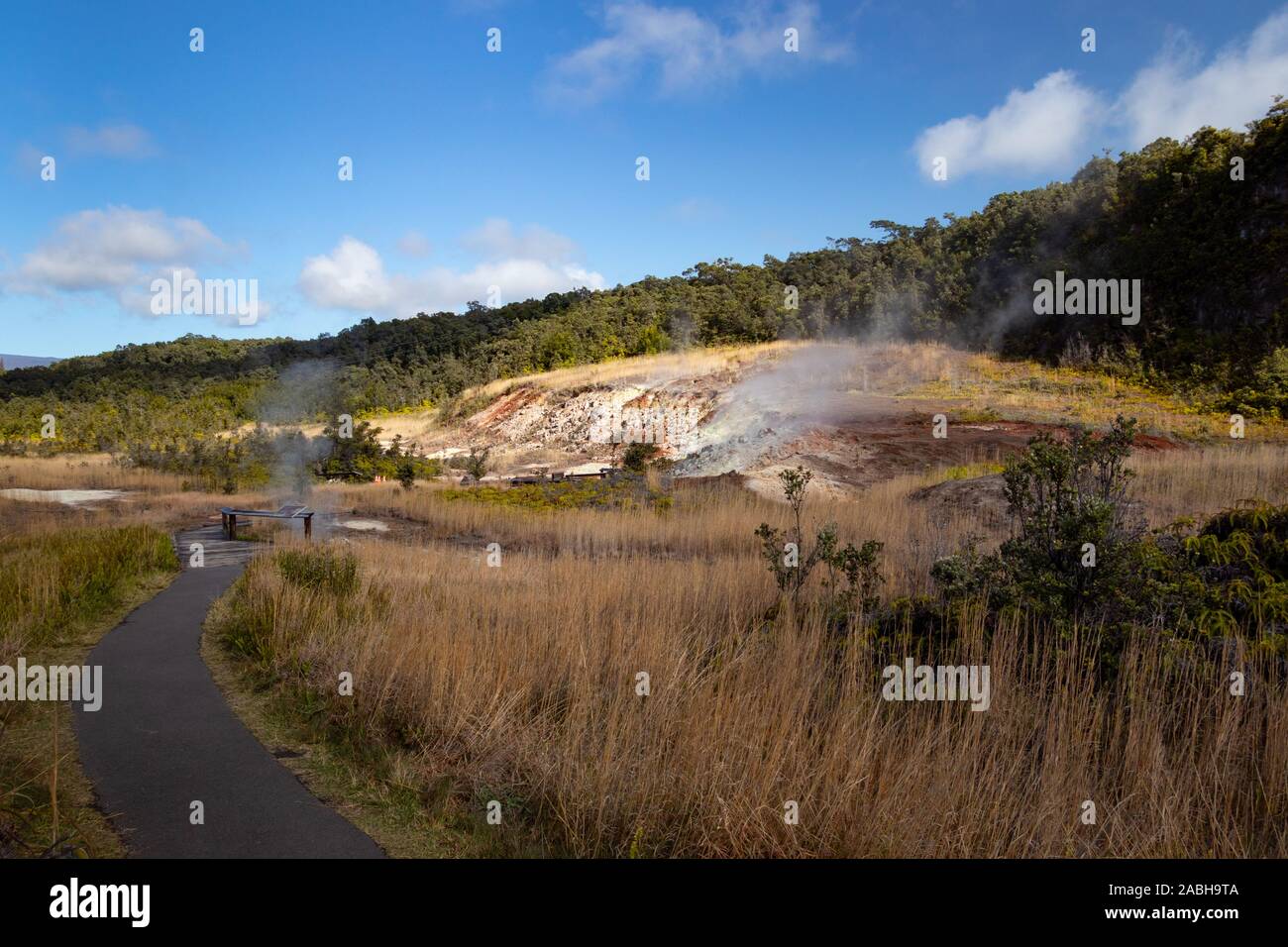 The Sulphur Banks Trail (Ha'akulamanu) emitting hazardous volcanic ...