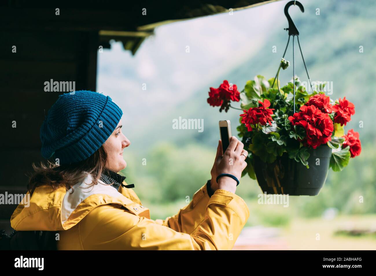 Hanging flower pot hi-res stock photography and images - Alamy
