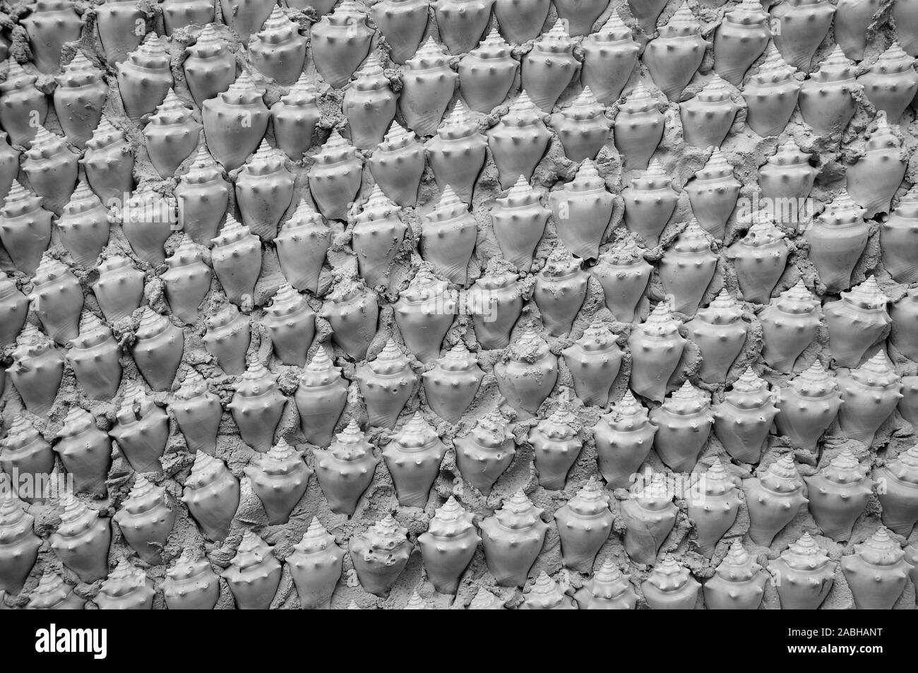 Grey mussel wall Stock Photo - Alamy