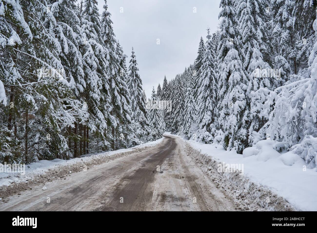 Winter landscape, forest and a road Stock Photo - Alamy