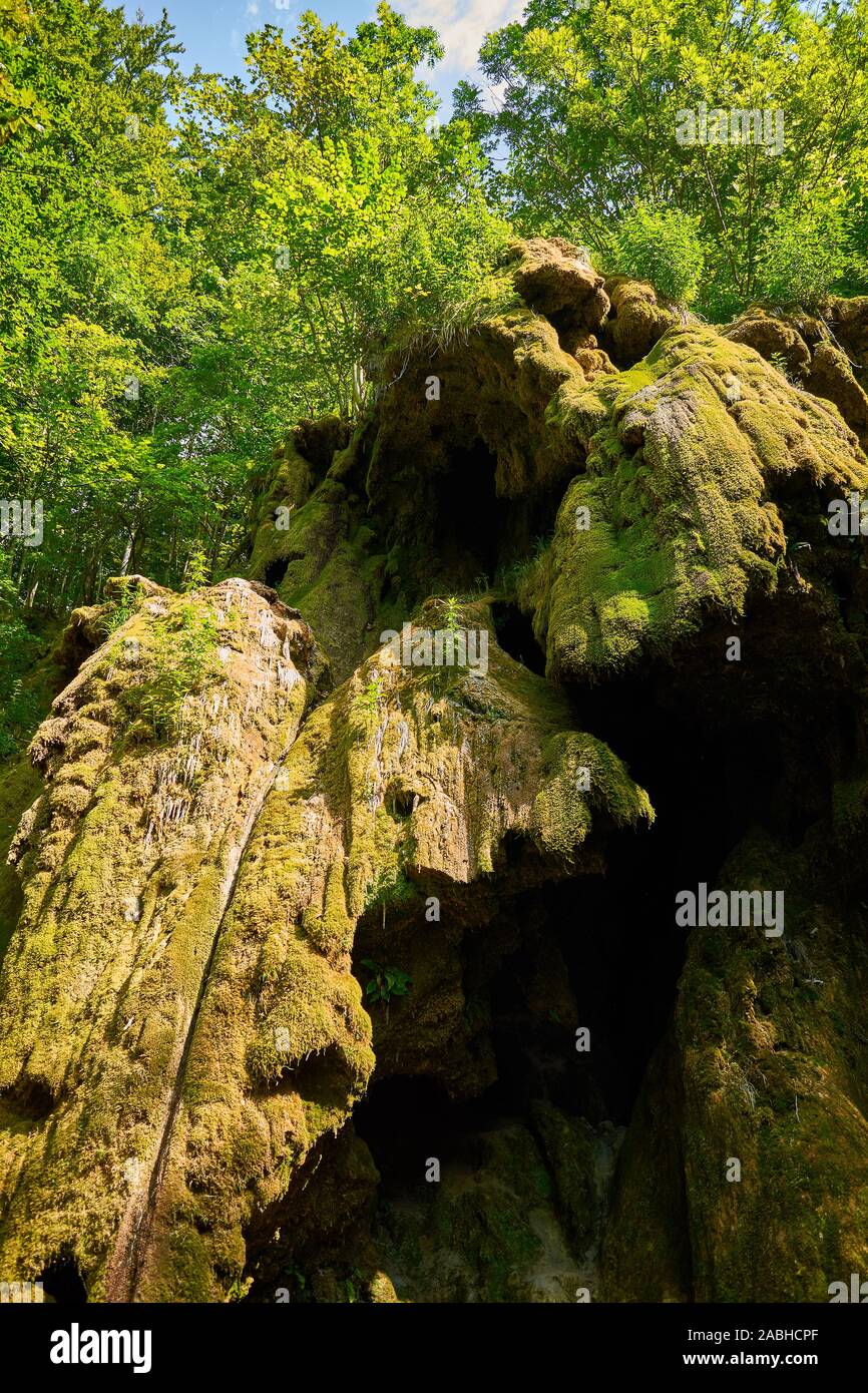Moss rock grass hi-res stock photography and images - Alamy