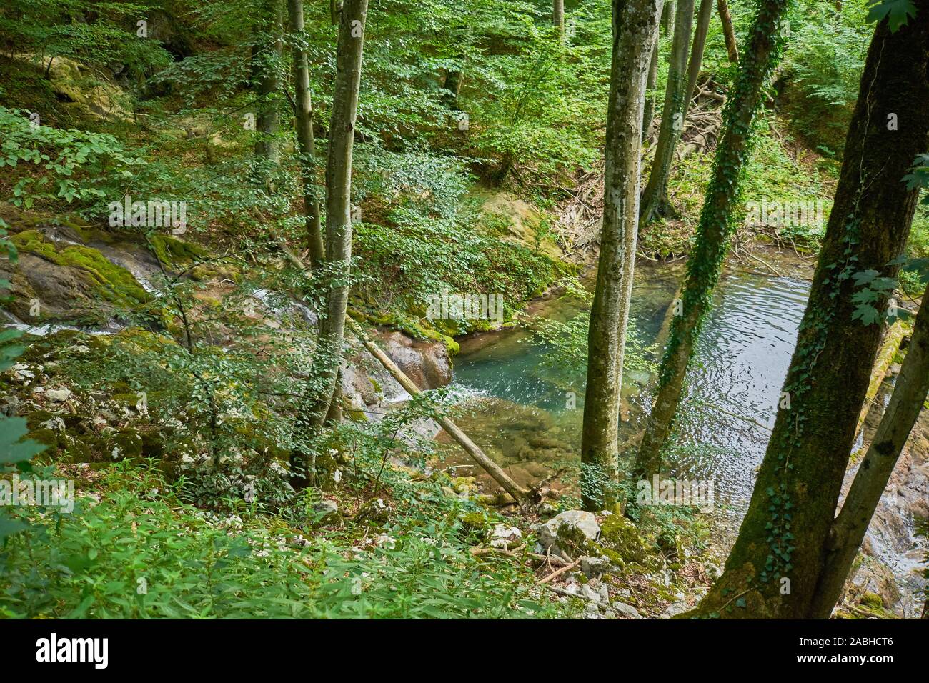 River, green forest, mountain Stock Photo - Alamy