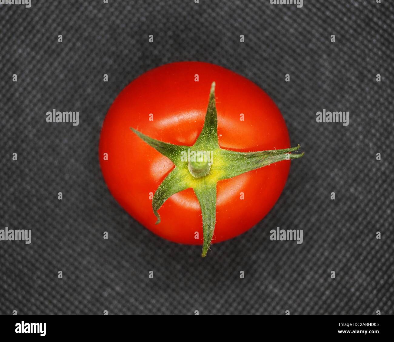 A delicious tomato for eating Stock Photo - Alamy