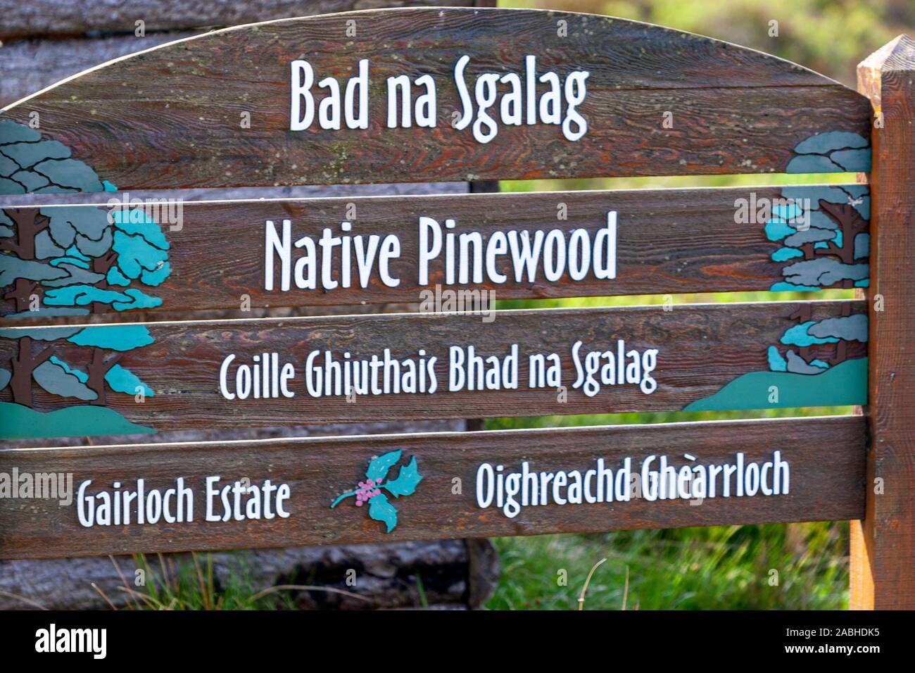 Bad na Sgalag, Native Pinewood, sign in Gairloch Estate, Highland ...