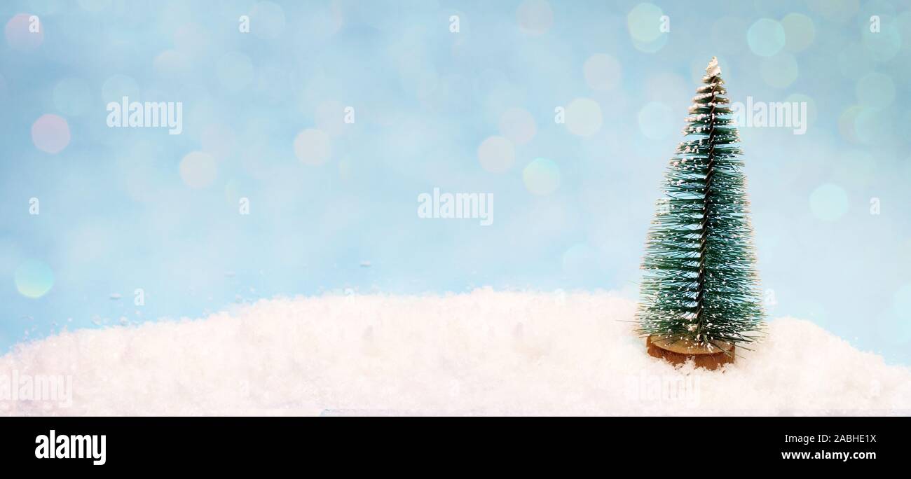 Yolka Tree High Resolution Stock Photography and Images - Alamy