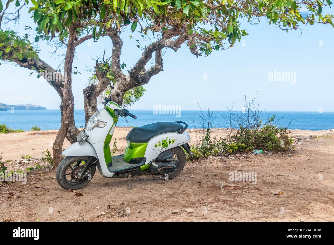 motorcycle parked in the shade of a tree Stock Photo - Alamy