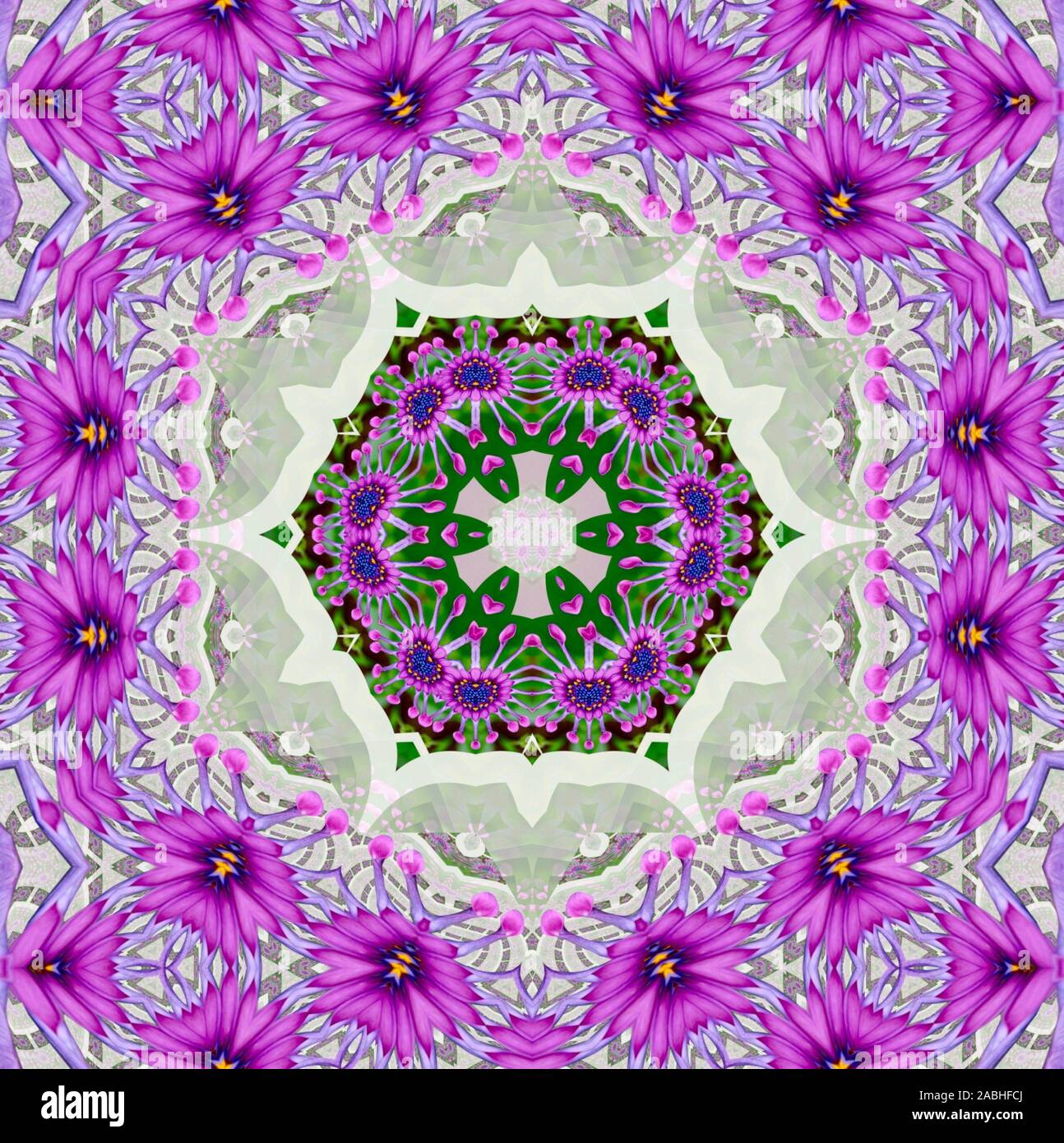 Mandala Meditations - whirligig daisy Stock Photo - Alamy