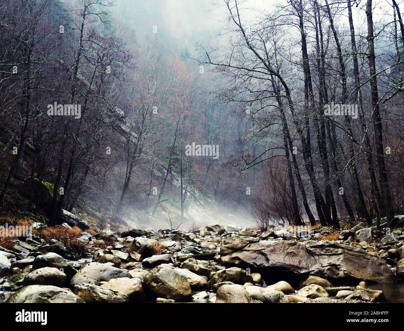 mystique off season forest stones river. Mountain forest with stones ...