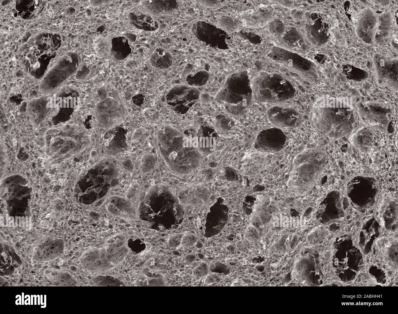 Close up of baked bread structure Stock Photo - Alamy